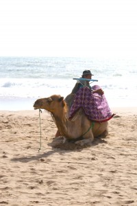 Séjour au Maroc : Taghazout, Tifnit et la vallée du paradis